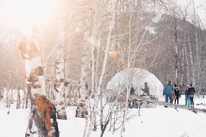 Wildlife Safari, Elk Refuge Sleigh Ride, Winter Camp Igloo Dinner - The Sum Up