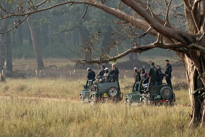 Wildlife Safari in Bandhavgarh, Kanha & Pench National Parks - A Balanced Look at a 7-Day Wildlife Safari in Central India