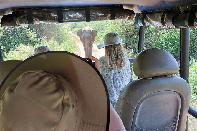 Wildlife Safari Yala National park - Frequently Asked Questions