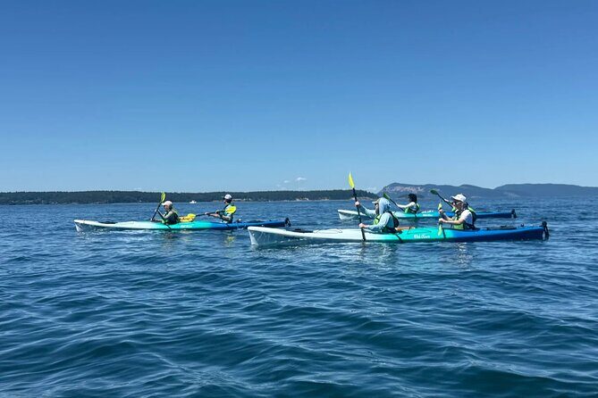 Wildlife Spotting Kayak Adventure on Orcas Island - Who Should Consider This Tour?