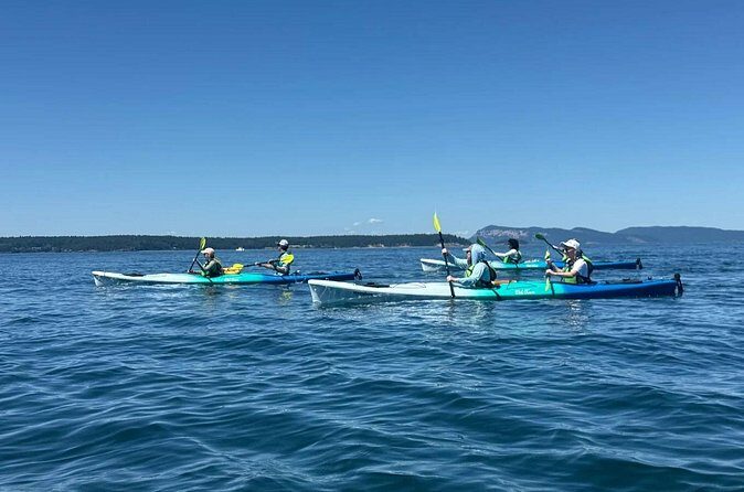 Wildlife Spotting Kayak Adventure on Orcas Island - FAQ - Your Practical Questions Answered