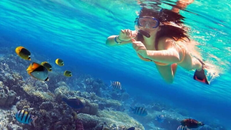 Wildlife Sri Lanka: 10-Day All-Inclusive Luxury Tour - Practical Information and Tips