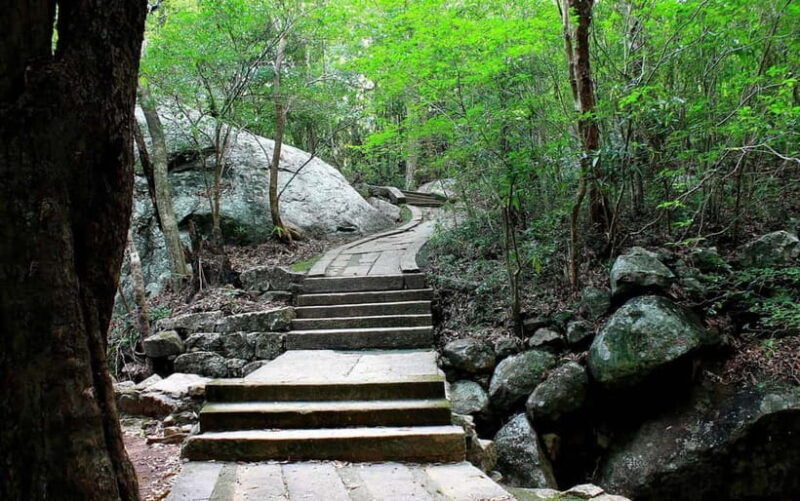 Wildlife Sri Lanka: 10-Day All-Inclusive Luxury Tour - Summary: Who Is This Tour Best For?