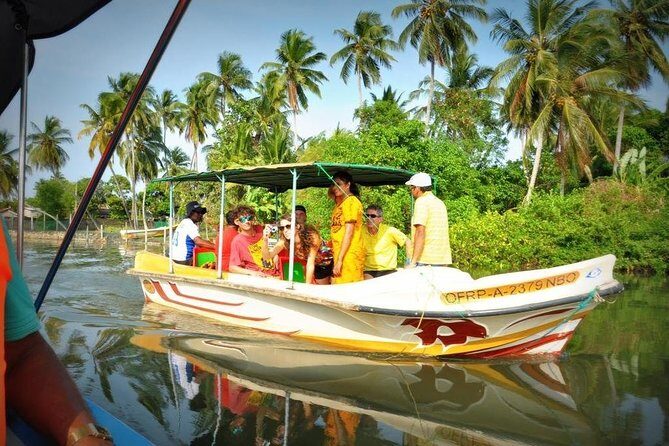 Wildlife Sri Lanka Tour 10 Days - Summary of the Experience and Value