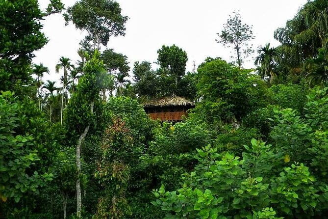 Wildlife Tour A Journey Through 3 Sanctuaries - Day 2: Mudumalai and Elephant Encounters