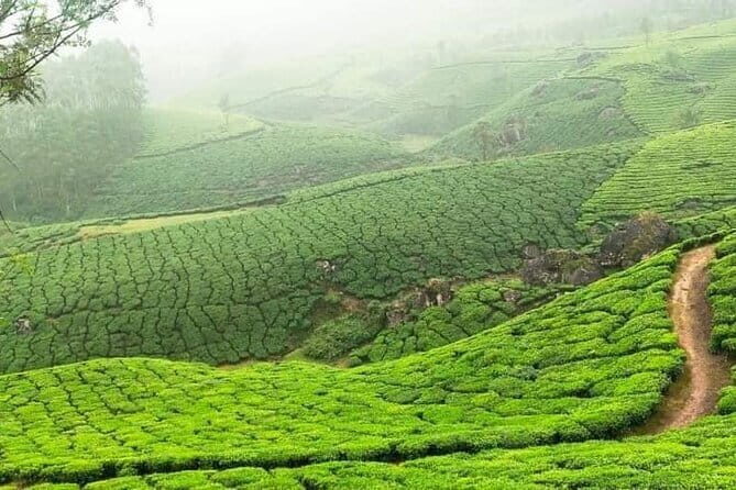 Wildlife Tour A Journey Through 3 Sanctuaries - Accommodation and Sustainability