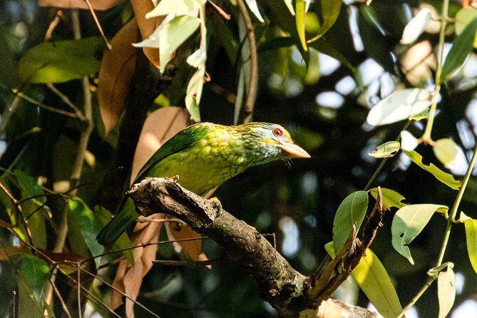 Wildlife Tour Covering Birds and Mammals (7 Days) - The Itinerary Breakdown: What You Can Expect