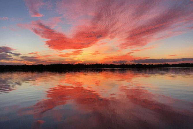 Wildlife Tour of Indian River Lagoon with Experienced Captain - The Itinerary and What to Expect