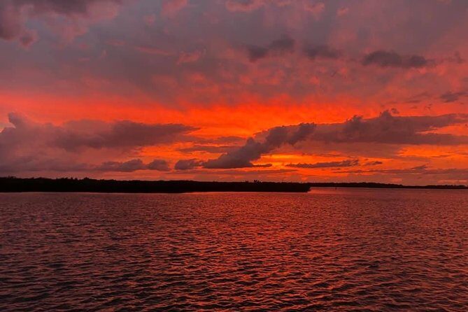 Wildlife Tour of Indian River Lagoon with Experienced Captain - The Guides and Their Impact