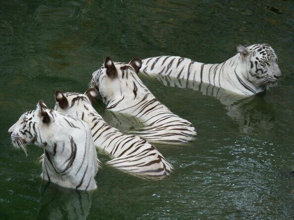 Wildlife trail in Chennai - Key Points