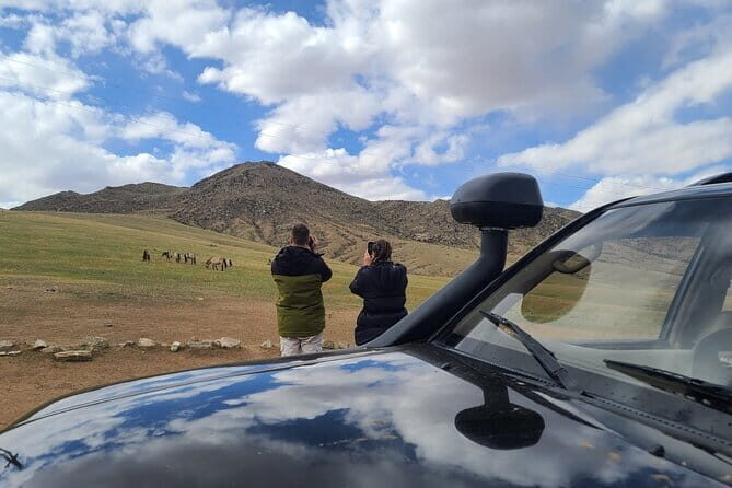 Wildlife Watching Day Tour at Hustai National Park - Why This Tour Is a Great Value