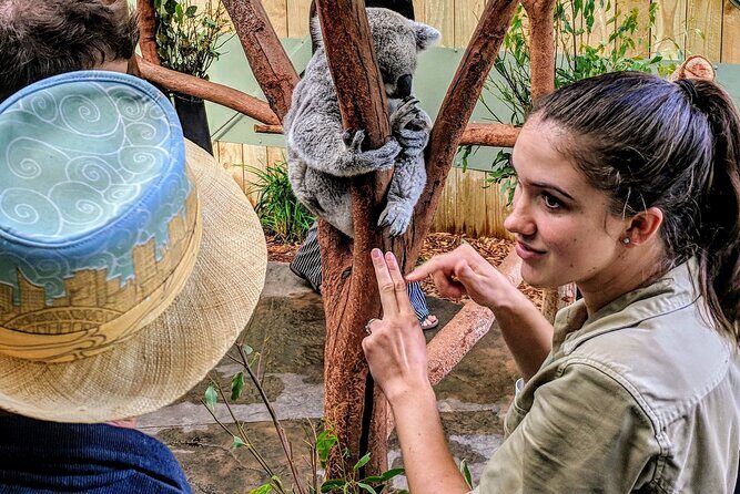 Wildlife, Waterfalls and Wine Day Tour from Sydney - Wildlife, Waterfalls and Wine Day Tour from Sydney: An Authentic Experience