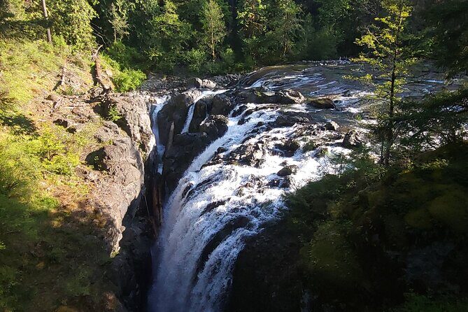 Wildlife, Waterfalls, Caves, Old Growth on Vancouver Island - Authentic Experiences and Real Feedback