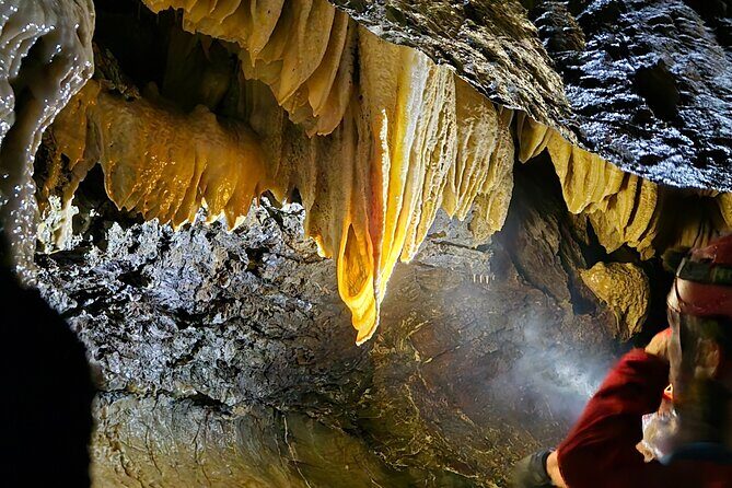 Wildlife, Waterfalls, Caves, Old Growth on Vancouver Island - FAQs