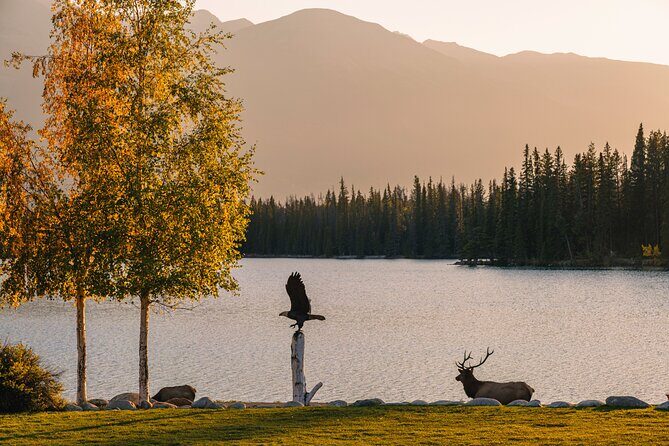 Wildlife Wild Skies: Jasper Planetarium Combo - Authentic Perspectives from Past Travelers