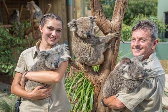 Wildlife, Wine & Waves  Epic South Coast Adventure from Sydney - Authentic Moments That Matter