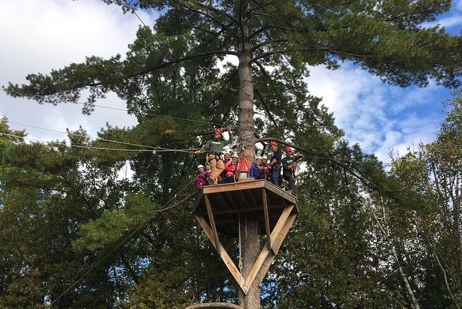 Wildman Zip Line Tour - Pricing and Value: Is It Worth It?
