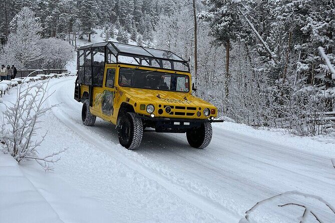 Wildside 4X4's Winter Wonderland Photo Tour - Key Points