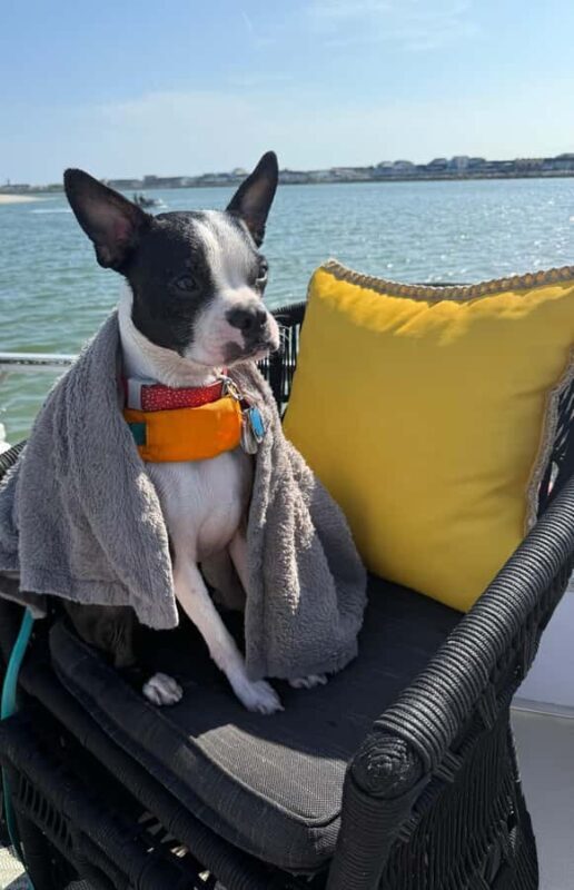 Wildwood: Scenic Back Bay Cruise with Sandbar Joe - Key Points