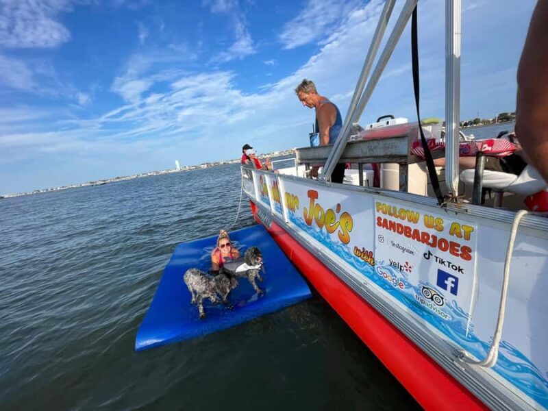 Wildwood: Scenic Back Bay Cruise with Sandbar Joe - Price and Value