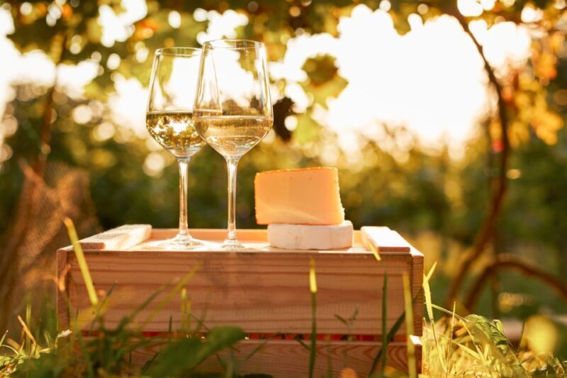 Willamette Valley Wine Tour - Visiting the Wineries: Pros and Cons