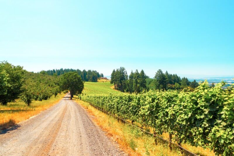 Willamette Valley Wine Tour - Who Should Consider This Tour?