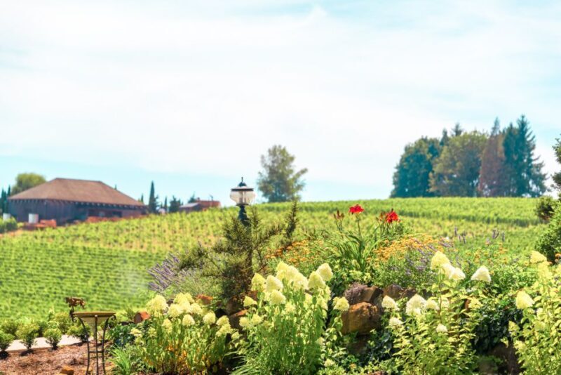 Willamette Valley Wine Tour - The Sum Up: Is It Worth It?