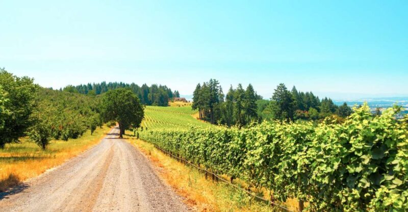 Willamette Valley Wine Tour - Exploring the Willamette Valley: A Top Wine Region