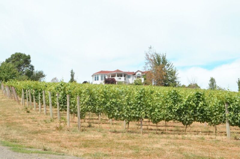 Willamette Valley Wine Tour - The Taste of Oregon: What You’ll Sample