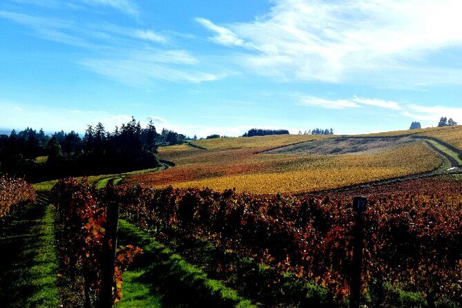 Willamette Valley Wine Tour with Lunch - Overall Value and Experience
