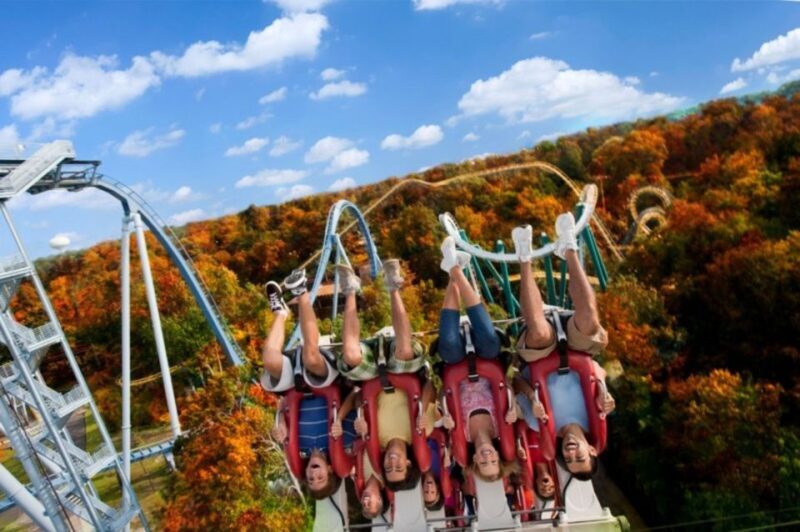 Williamsburg: Busch Gardens Ticket & Water Country Option - Key Points