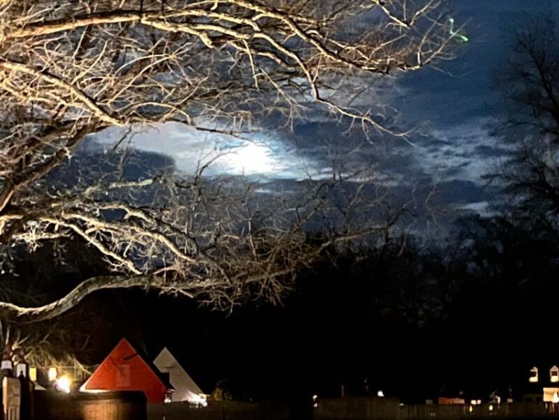Williamsburg: Dead of Night Paranormal investigations Tour - An In-Depth Look at the Williamsburg: Dead of Night Paranormal Investigations Tour