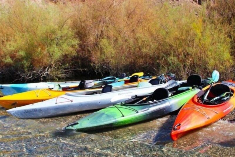 Willow Beach: Black Canyon Kayak Half Day Kayak Rentals - The Included Gear and Amenities