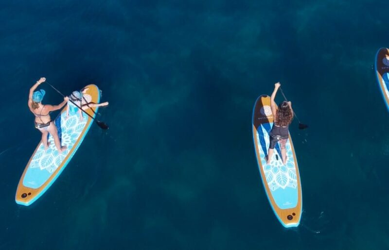 Willow Beach: Paddle Board Rental - What the Reviews Say