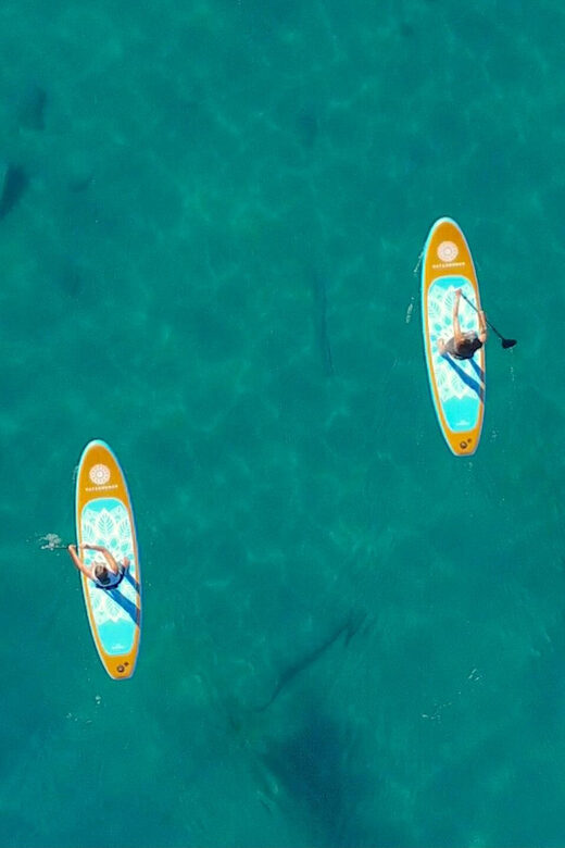 Willow Beach: Paddle Board Rental - Value Analysis
