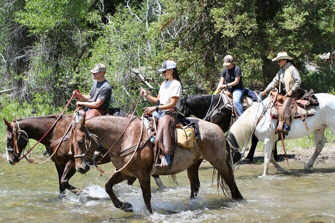 Willow Creeks Signature Half Day Ride with Lunch - Final Thoughts