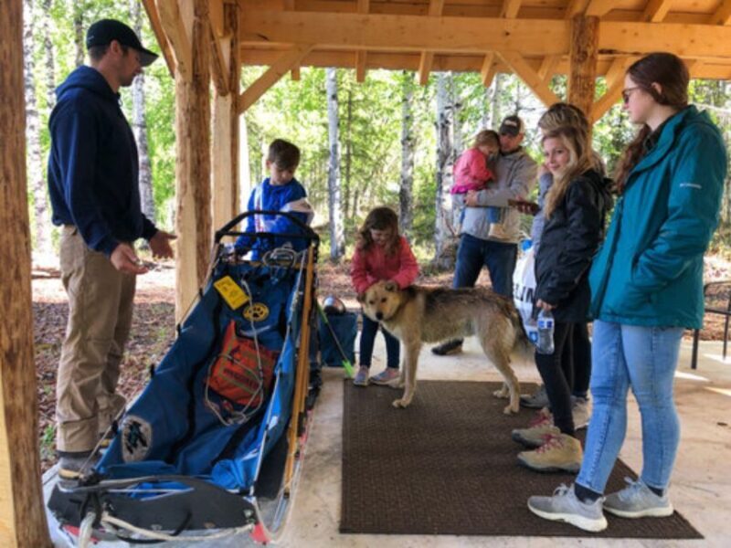 Willow: Summer Dog Sledding Ride in Alaska - Introduction: What’s This Adventure All About?