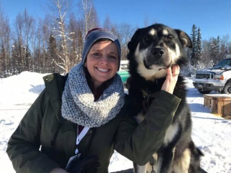 Willow: Traditional Alaskan Dog Sledding Ride - What to Expect: A Closer Look at the Experience