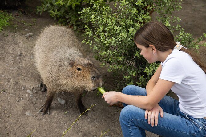 Willowbank Wildlife Reserve Day Entry - Frequently Asked Questions