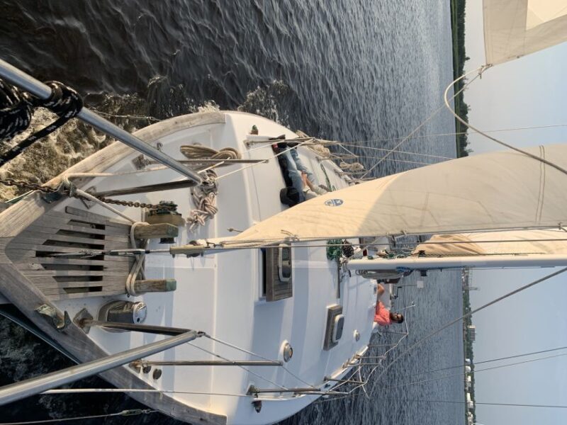 Wilmington: 2-Hour Waterfront Charter - A Closer Look at the Wilmington Waterfront Charter