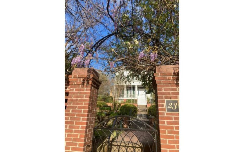 Wilmington History and Architecture Tour - Authentic Perspectives from Past Participants