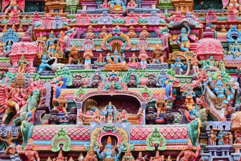 Wilpattu leopard safari and free jeep with guide included. - The Wilpattu Safari Experience: What You Can Expect