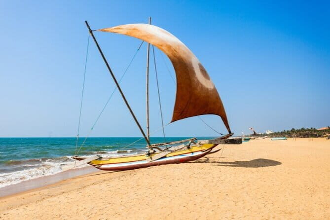 Wilpattu National Park Day tour From Negombo - The Sum Up