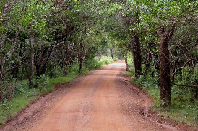 Wilpattu National Park Entrance Ticket with Private Safari - FAQ