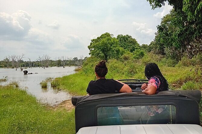 Wilpattu National Park Leopard safari from Colombo/Negambo - Final Thoughts