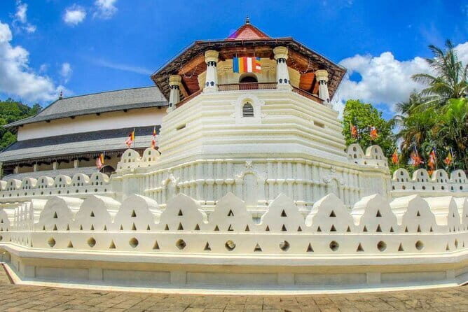 Wilpattu National Park Private Full Day Safari From Negombo - The Experience from the Traveler’s Perspective