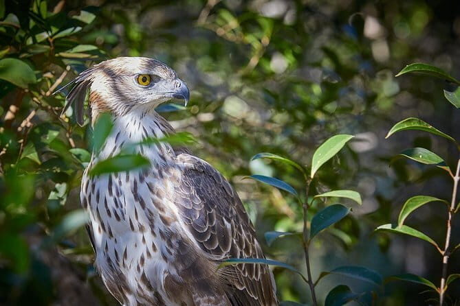 Wilpattu National Park Private Full Day Safari From Negombo - The Value of a Private Safari