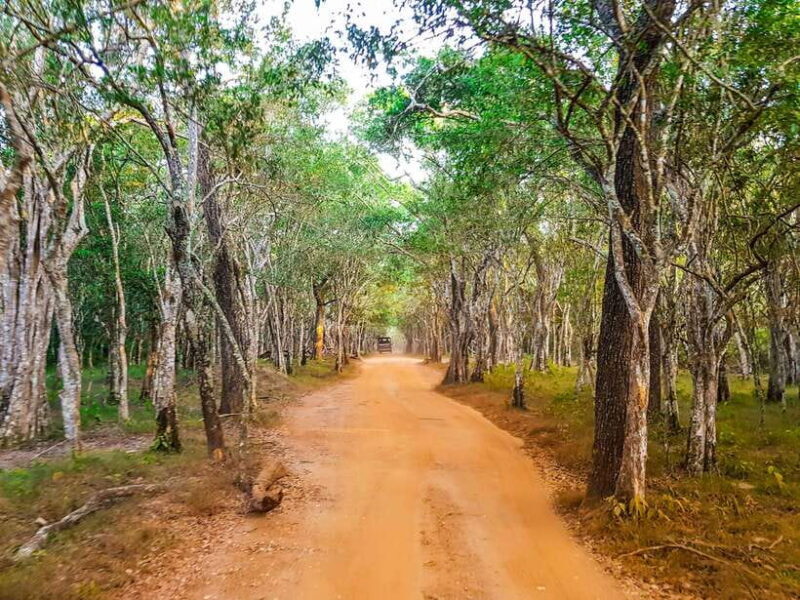 Wilpattu National Park: Private Safari - FAQ