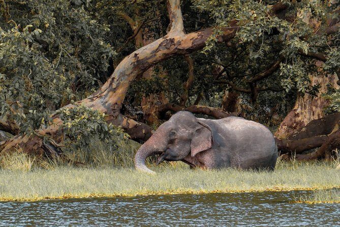 Wilpattu National Park Private Safari - Getting Acquainted with Wilpattu — The Backdrop