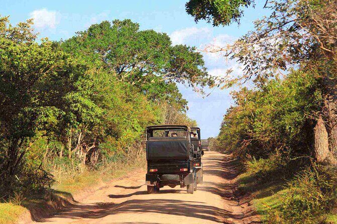Wilpattu National Park Private Safari From Dambulla & Sigiriya - What Makes This Tour Stand Out?